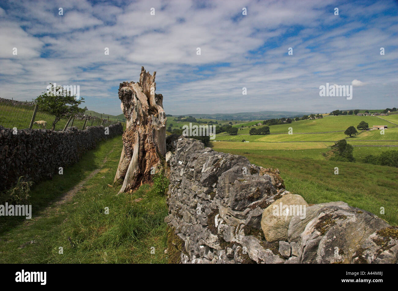 Drovers Wood High Resolution Stock Photography and Images - Alamy