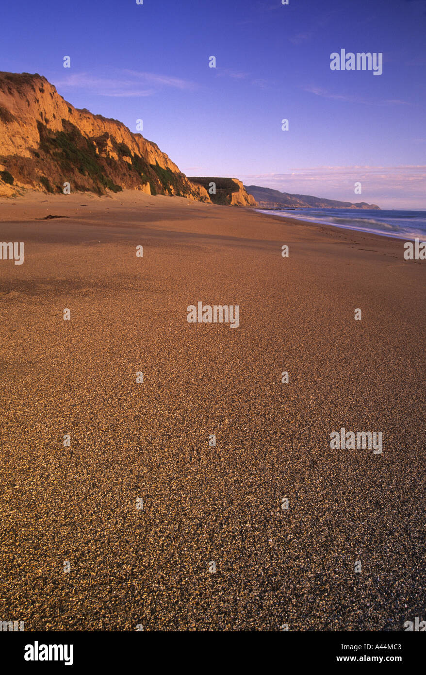 Point reyes national seashores hi-res stock photography and images - Alamy