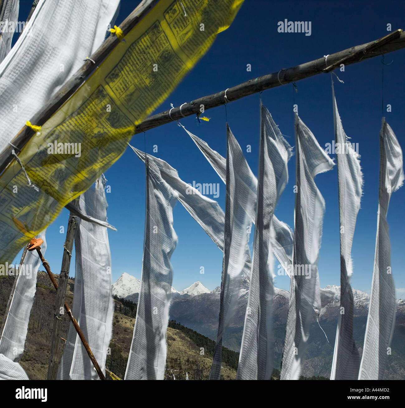 Buddhist prayer flags flutter in hi-res stock photography and images ...