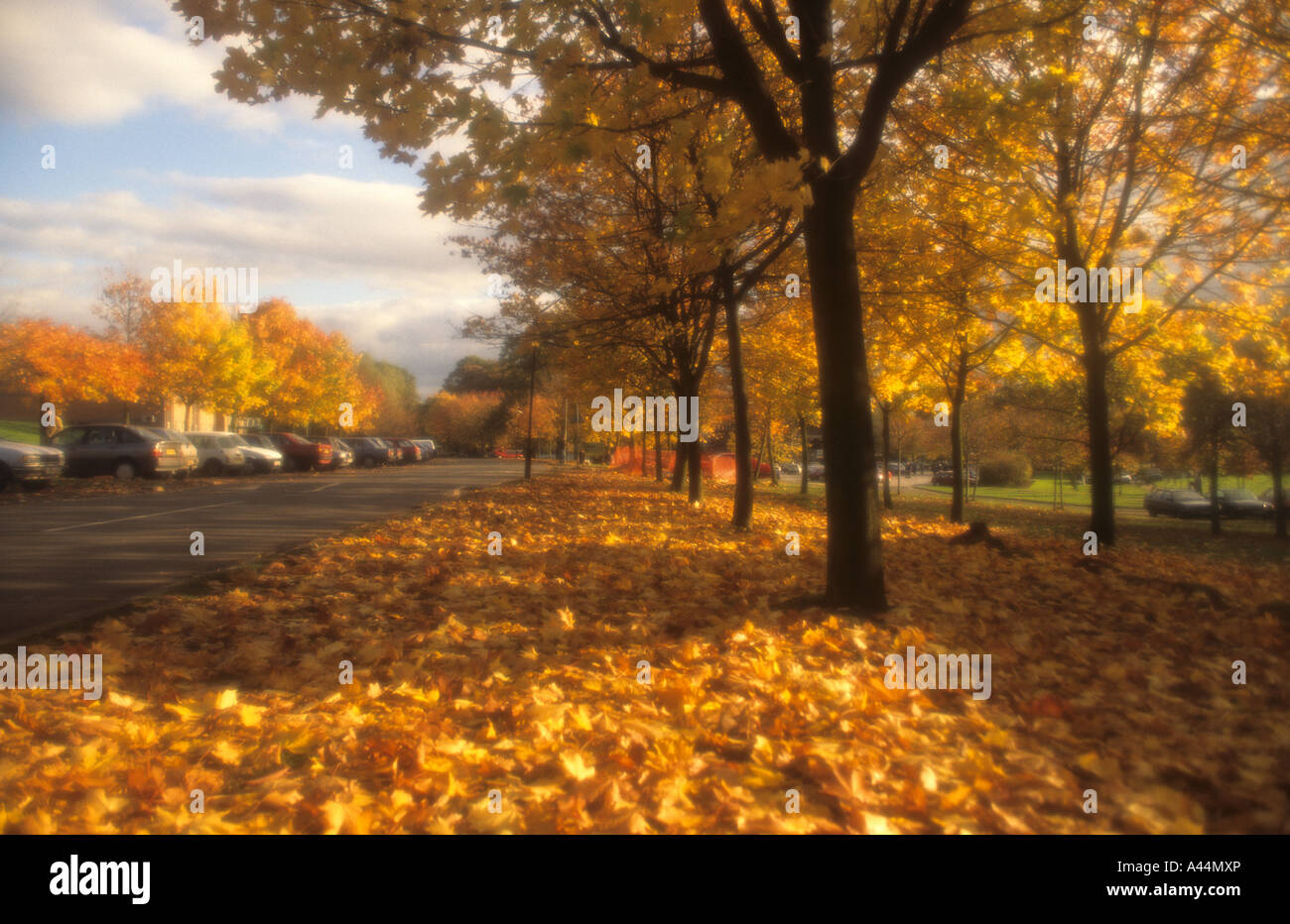 Keele university hi-res stock photography and images - Alamy