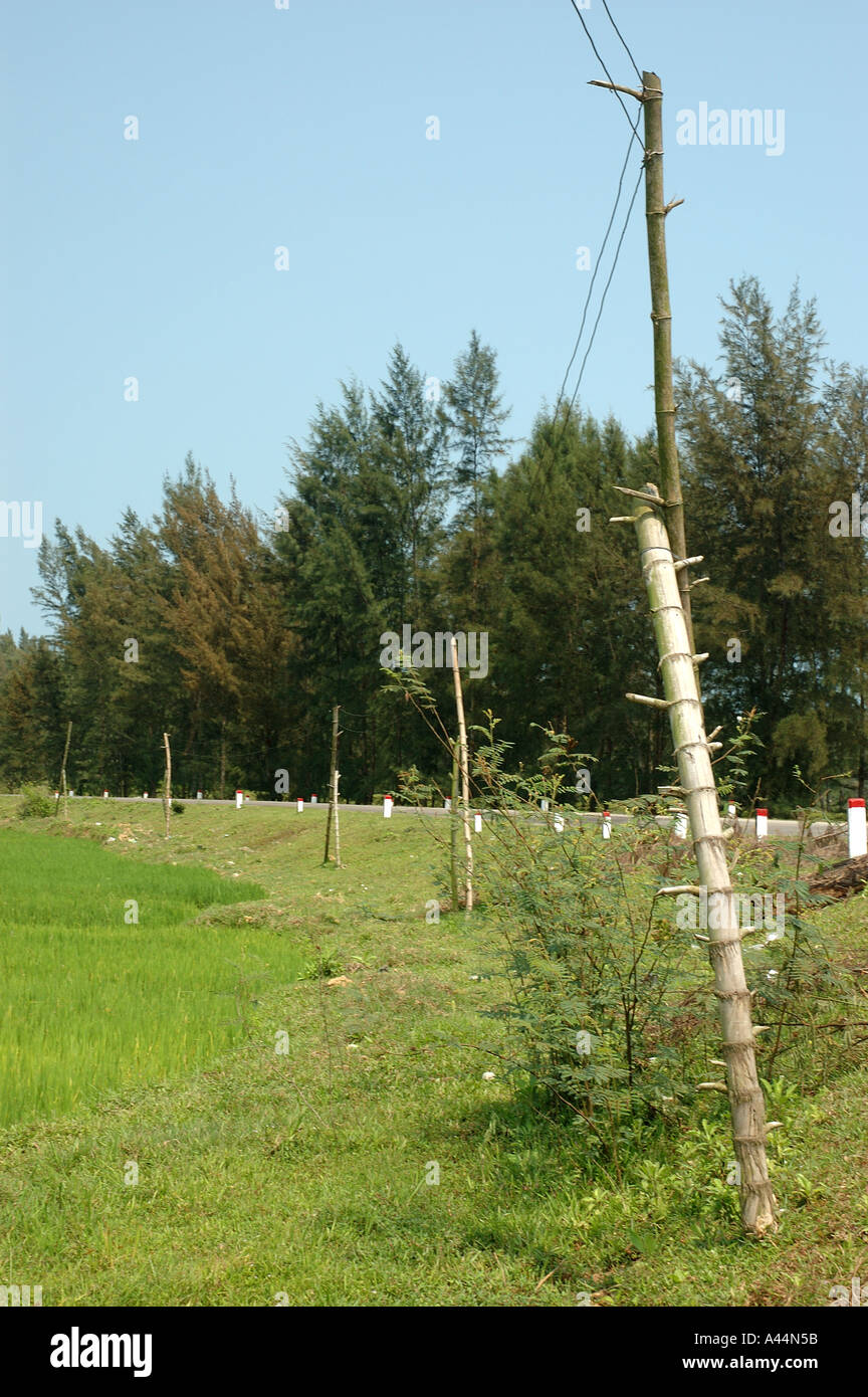 Bamboo power poles in Vietnam Viet Nam Asia Stock Photo - Alamy