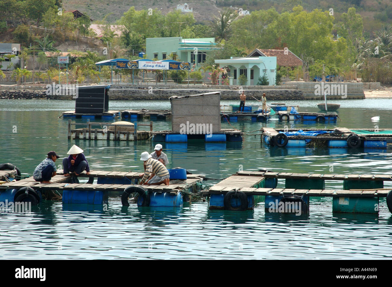 Floating fish farm at Mieu Island Nha Trang Vietnam Viet Nam Asia South ...