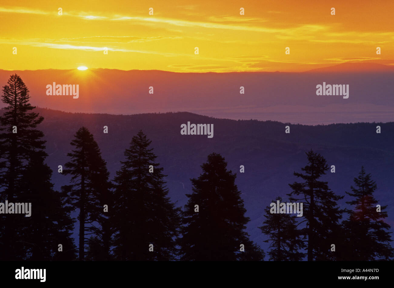 Plaskett hi-res stock photography and images - Alamy