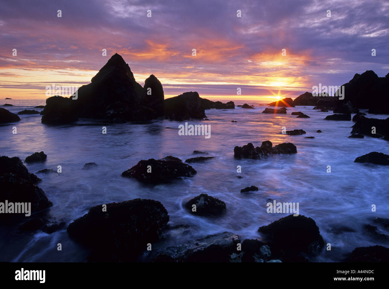 Patrick point state park hi-res stock photography and images - Alamy