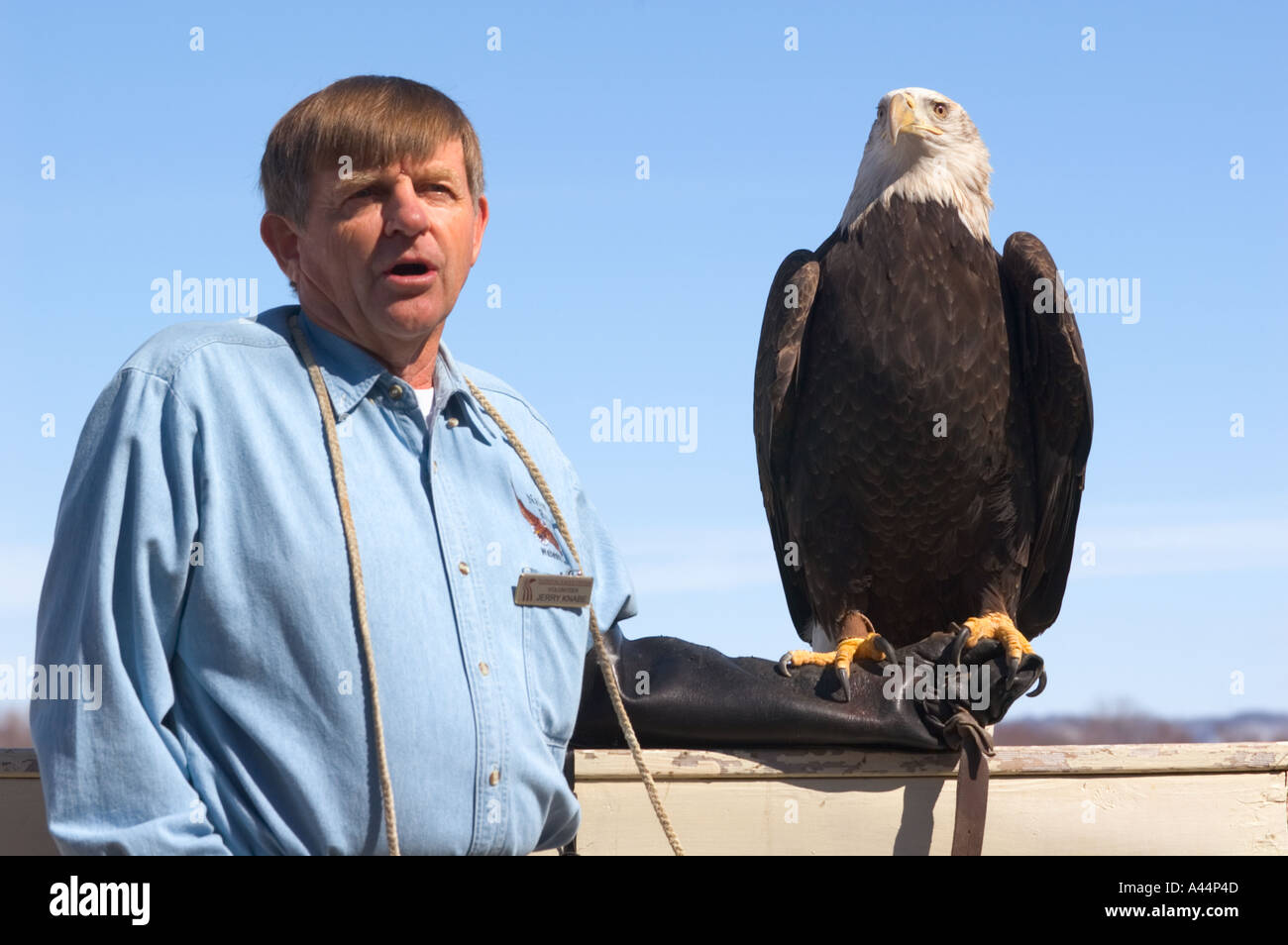 Mississippi river bald eagle hi-res stock photography and images - Alamy