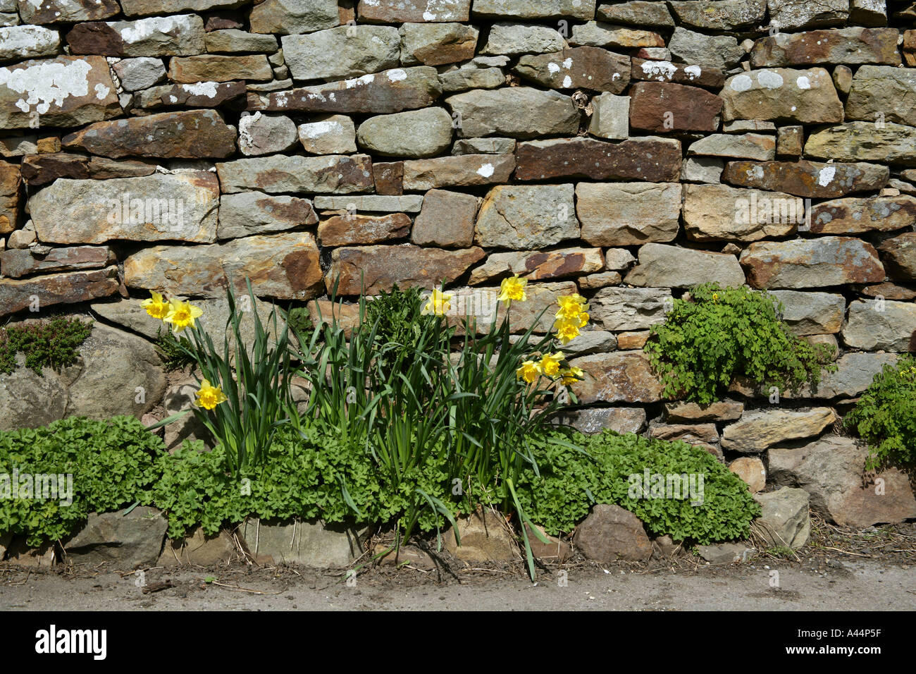 Reeth yorkshire spring hi-res stock photography and images - Alamy