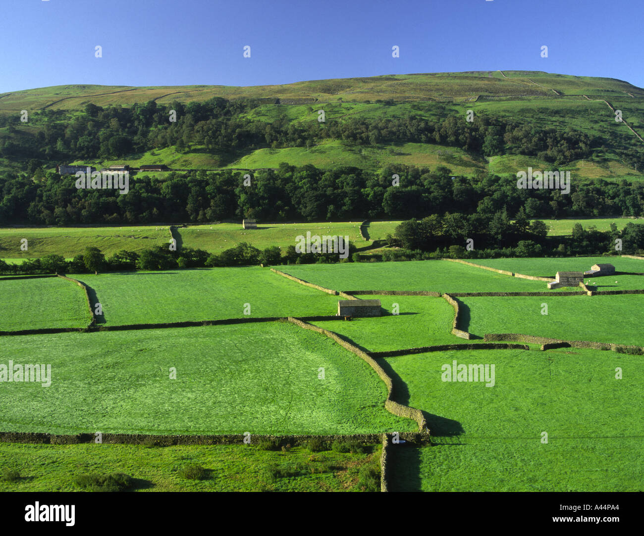 Field patterns Gunnerside Bottoms Swaledale Summer Lodge mnoor in the ...