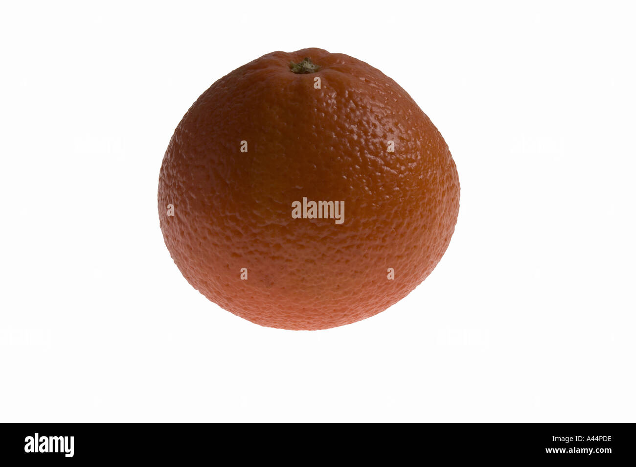 one orange fruit Stock Photo - Alamy
