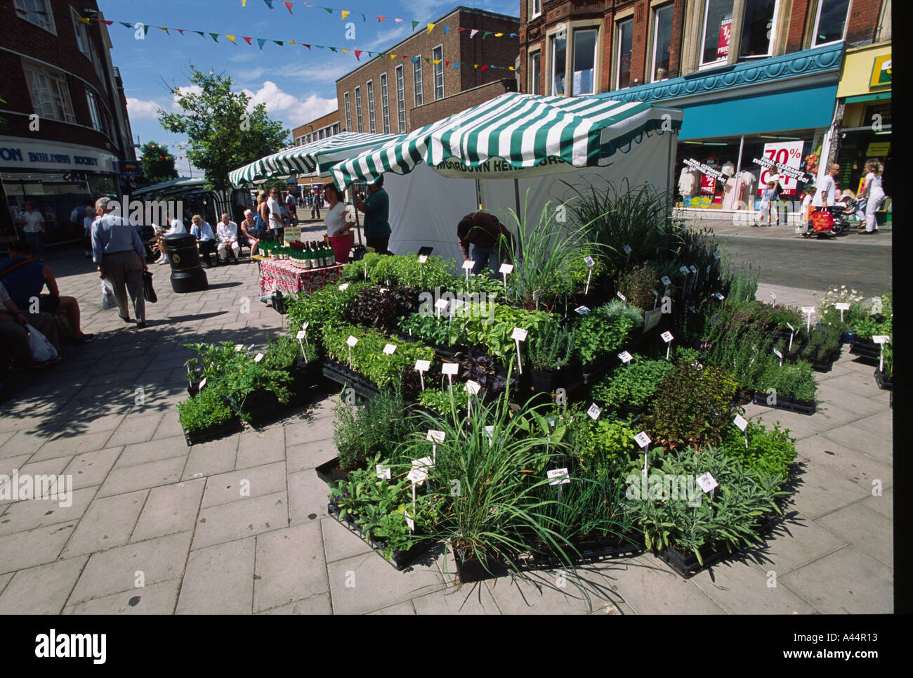 Fresh fruit and veg devon hi-res stock photography and images - Alamy