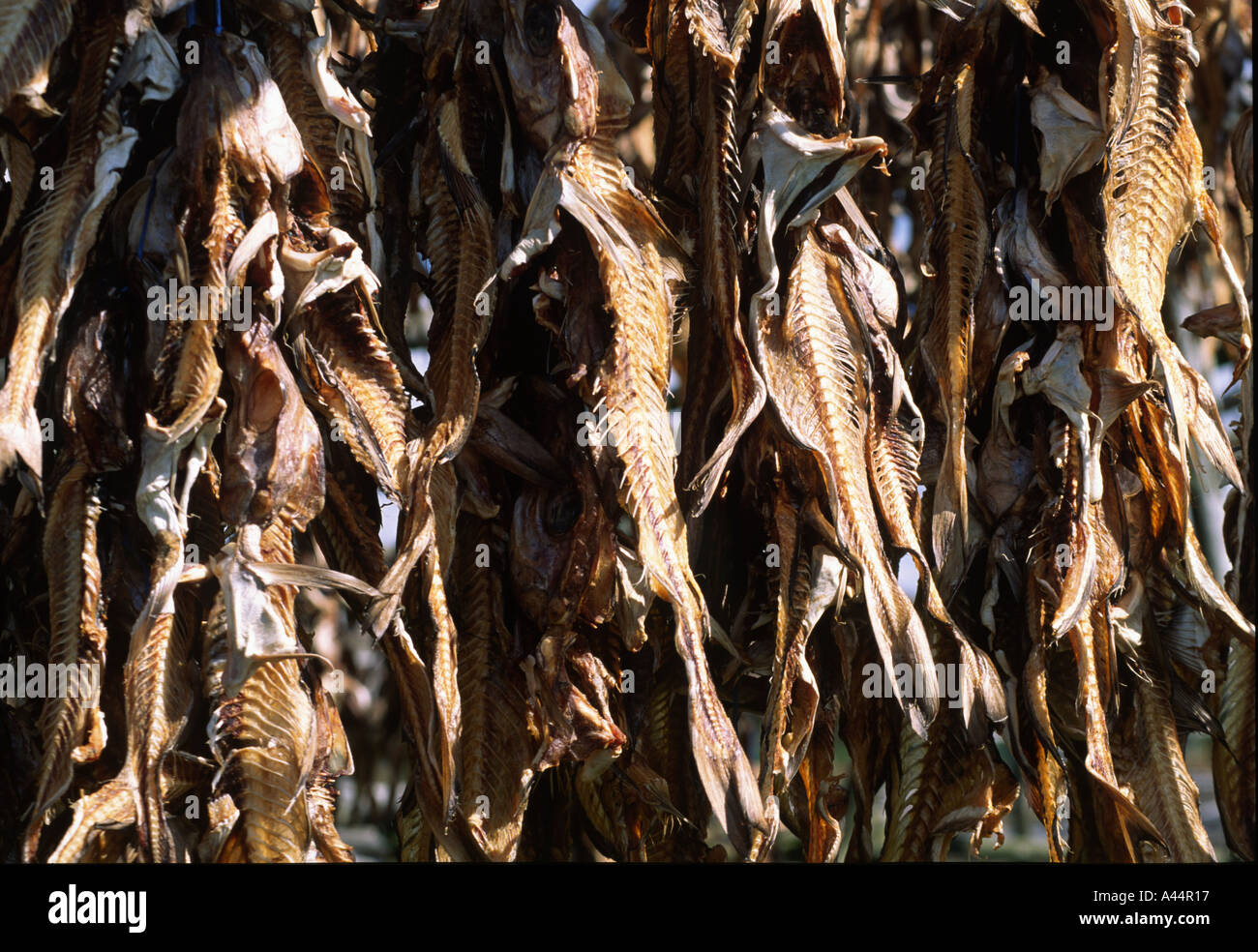 Fish drying stocks hi-res stock photography and images - Alamy