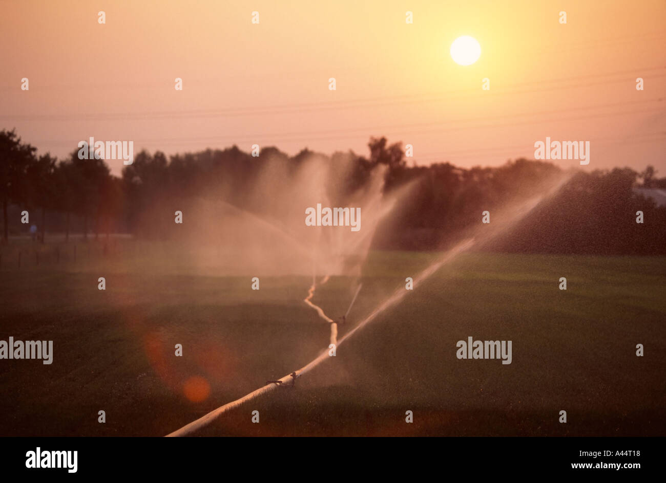 Water spraying over a green field from an irrigation pipe with soft ...