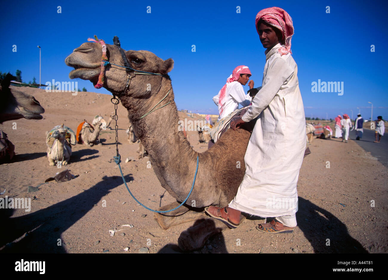 Bedouin arab tribes hi-res stock photography and images - Alamy