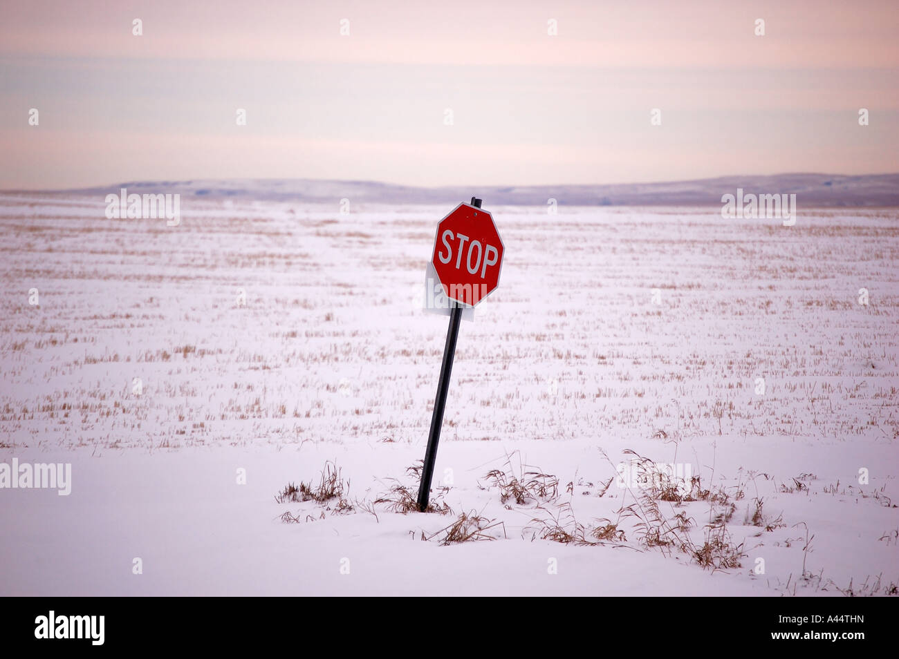 Stop Sign, Alberta Prairies Stock Photo - Alamy
