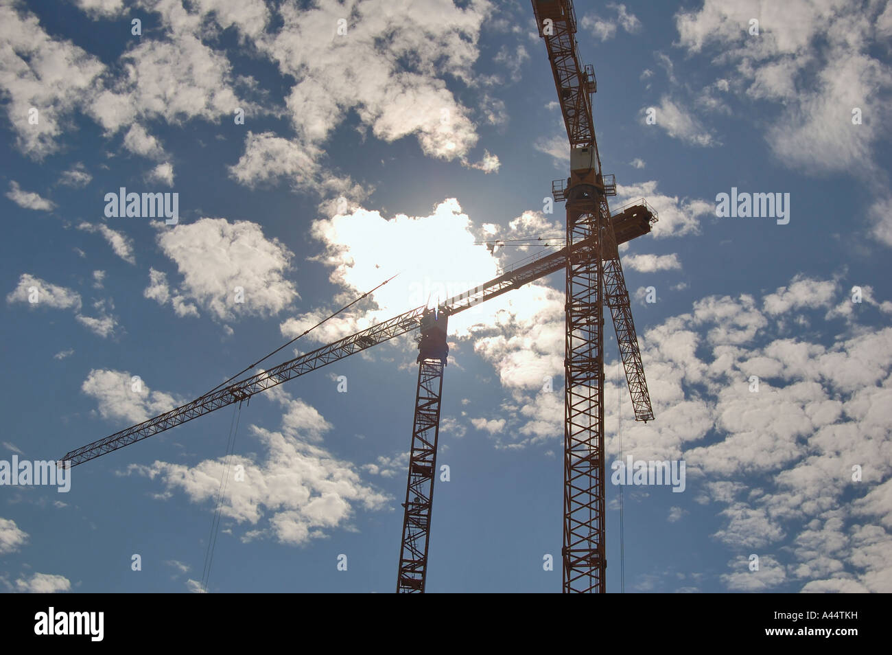 Cranes, Downtown Miami Stock Photo - Alamy
