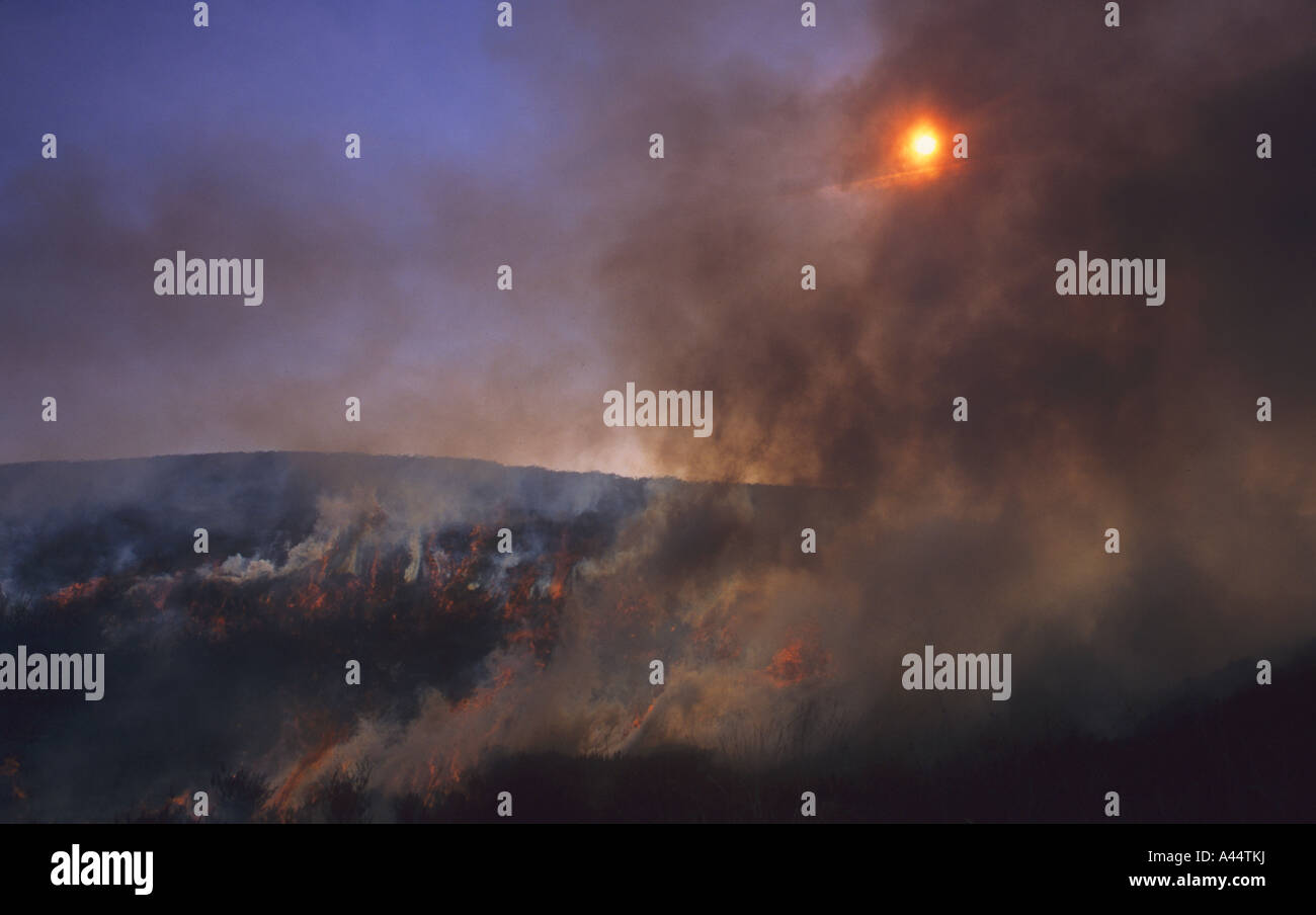 Controlled Scrub fire On The Staffordshire Moorlands Stock Photo - Alamy