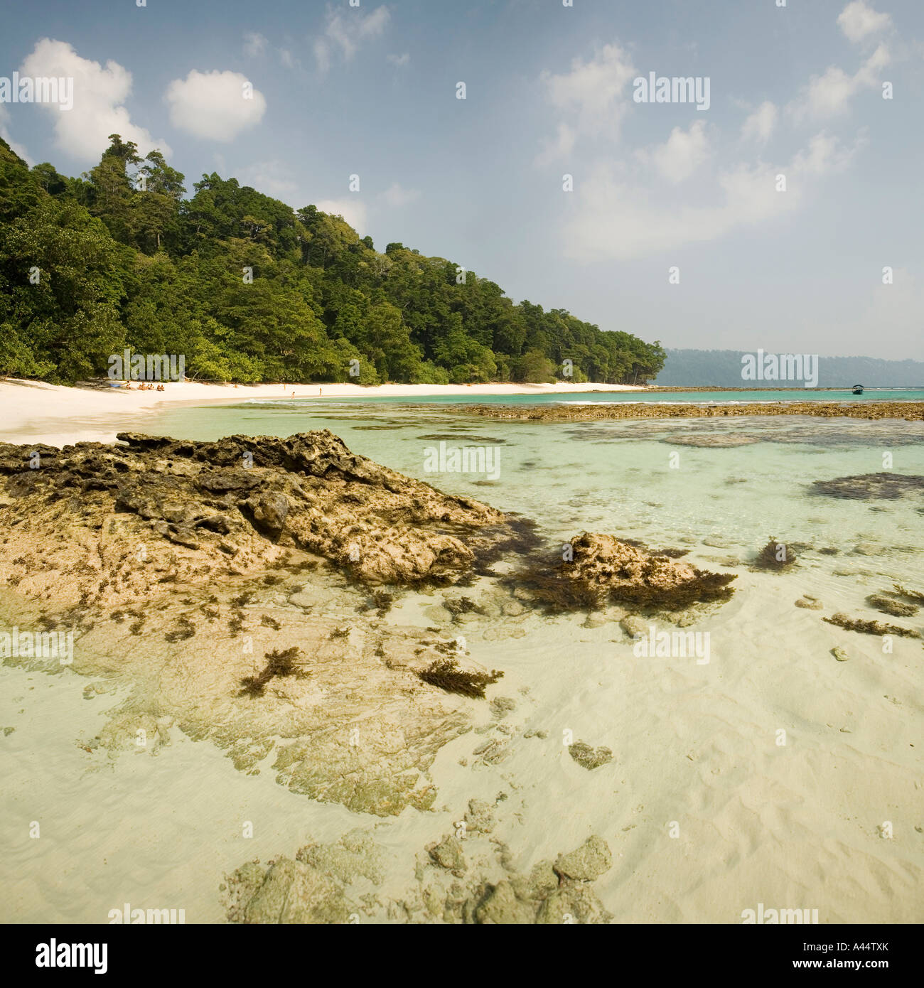 India Andaman and Nicobar Havelock Island Radha Nagar lagoon beach at ...