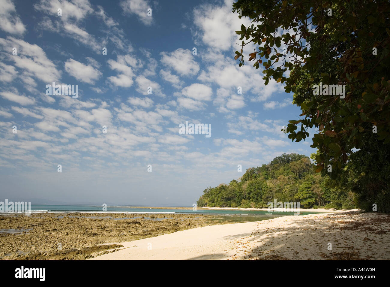 India Andaman and Nicobar Havelock Island Radha Nagar lagoon beach in ...
