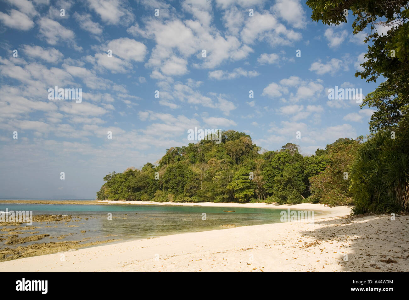India Andaman and Nicobar Havelock Island Radha Nagar lagoon beach in ...
