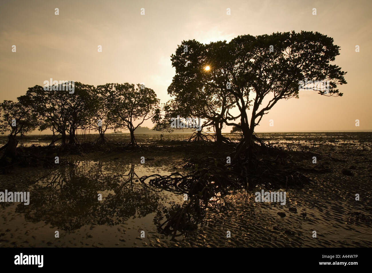 India Andaman and Nicobar North Andaman Island Diglipur coastal ...