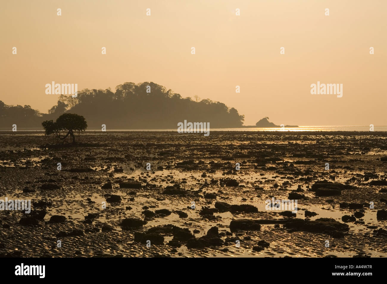 Diglipur, andaman, india hi-res stock photography and images - Alamy