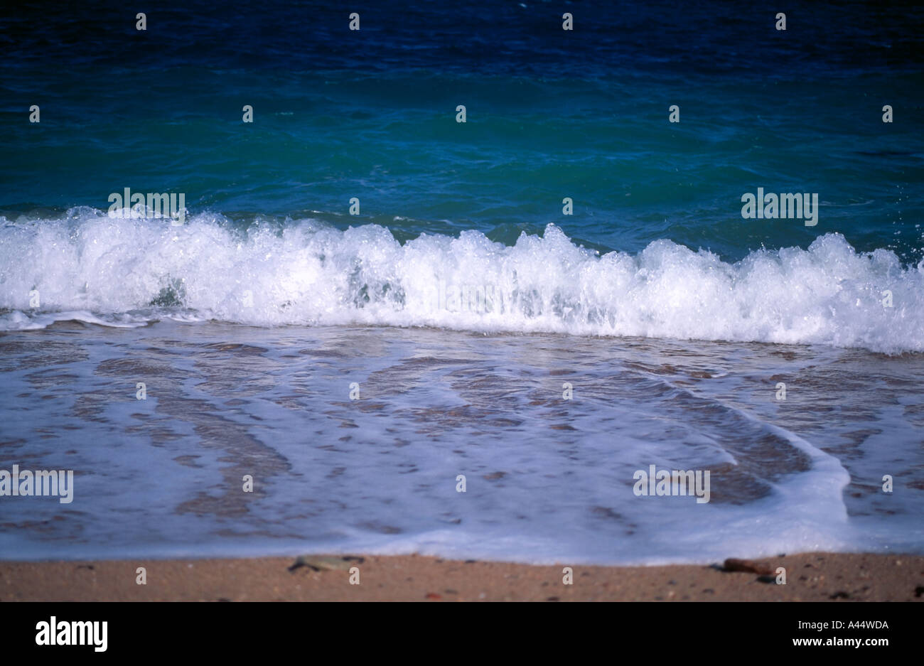 Beach in dahab sinai hi-res stock photography and images - Alamy