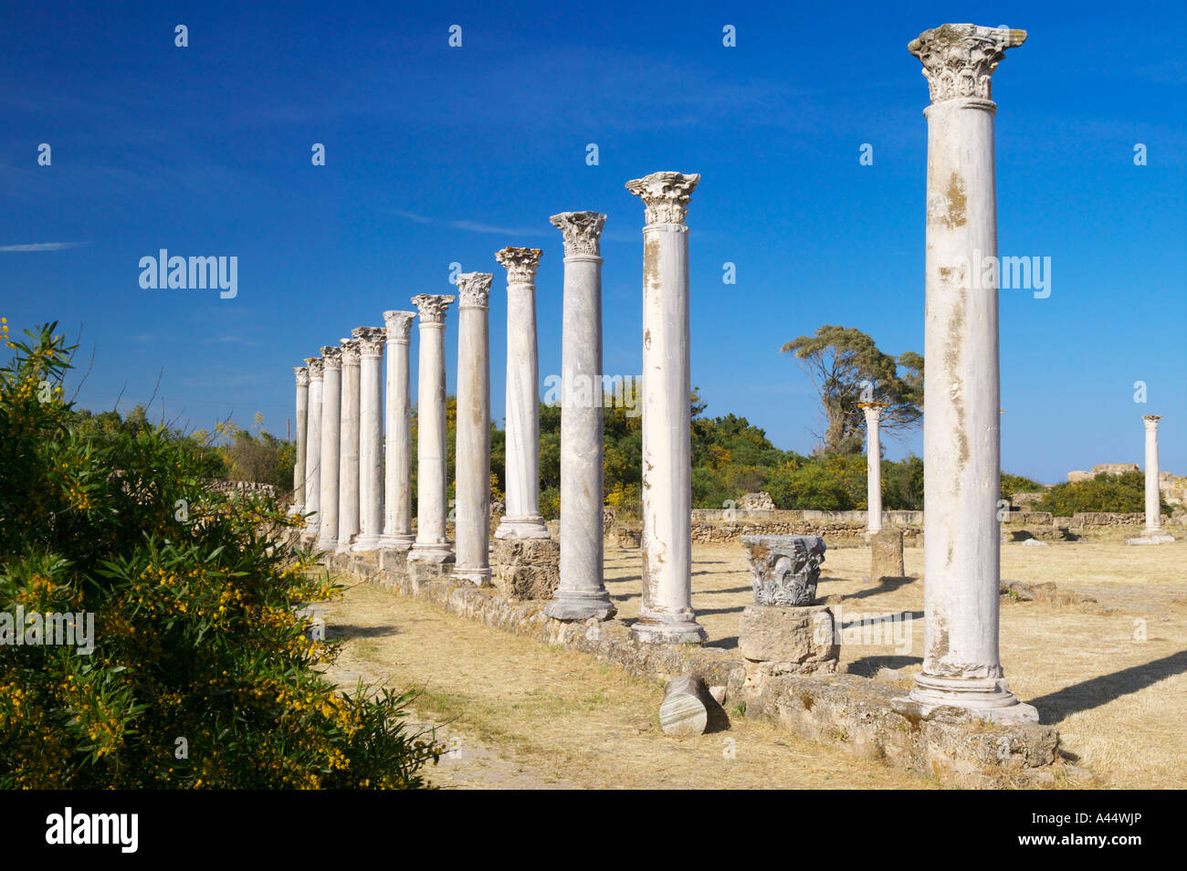 Roman gymnasium hi-res stock photography and images - Alamy