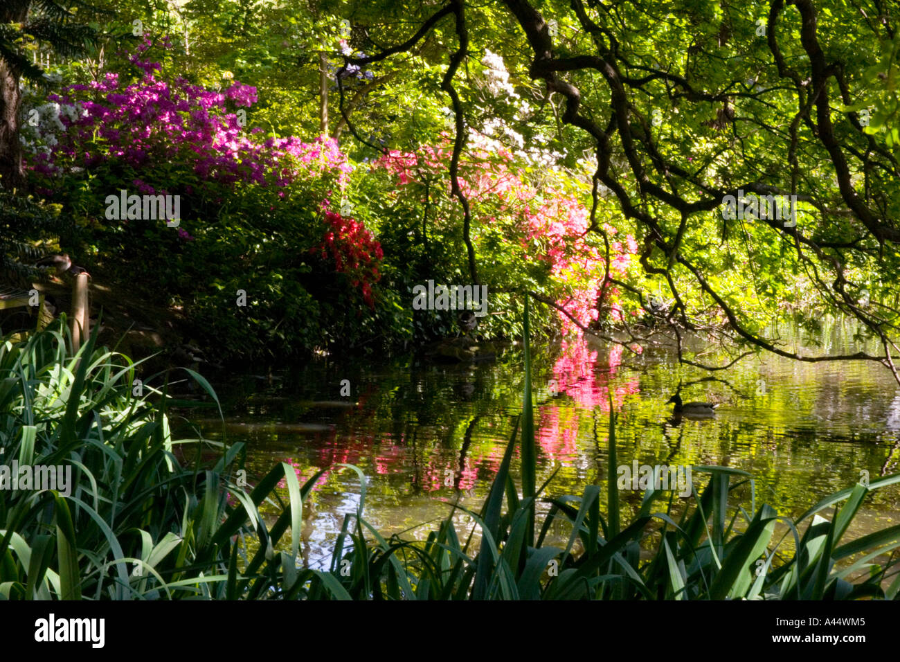 Cannizaro Park Wimbledon High Resolution Stock Photography and Images ...