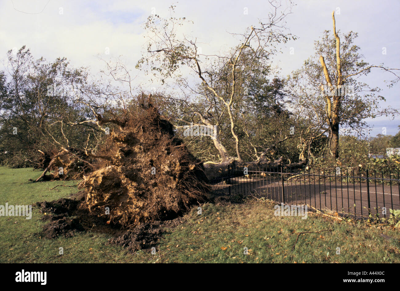 hurricane damage london 16 10 1987 Stock Photo - Alamy