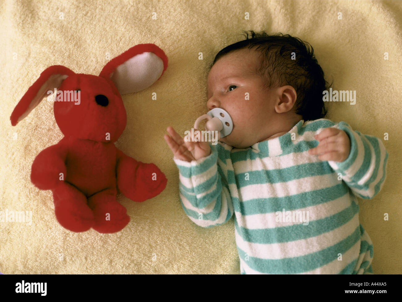 week old baby london Stock Photo - Alamy