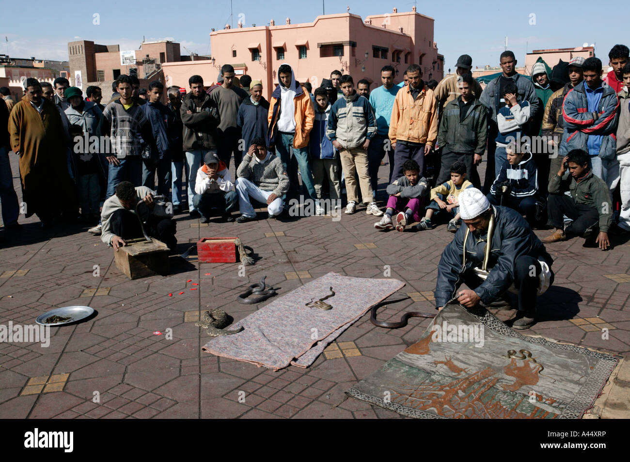 Snake charmers gather a crowd, Jemaa El Fna main square, Marrakesh ...