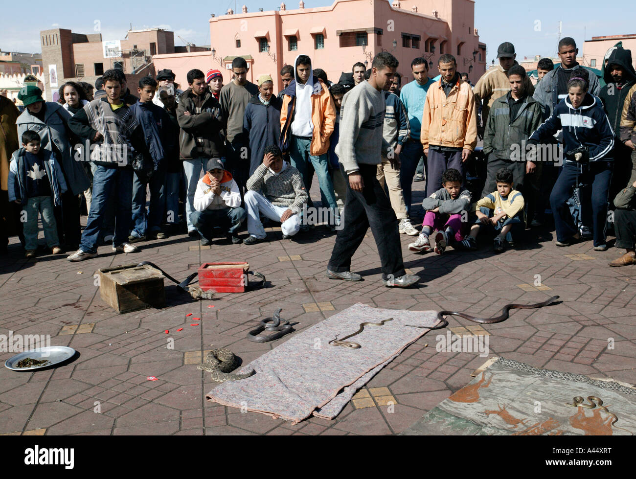 Snake charmers gather a crowd, Jemaa El Fna main square, Marrakesh ...