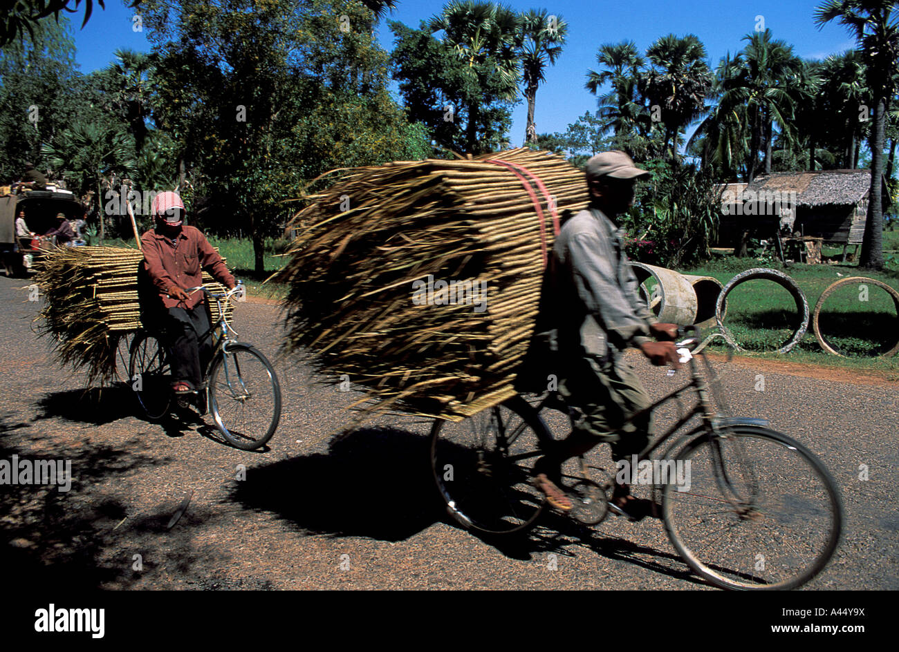 Farmers cycle back home from their land in rural Cambodia Stock Photo ...