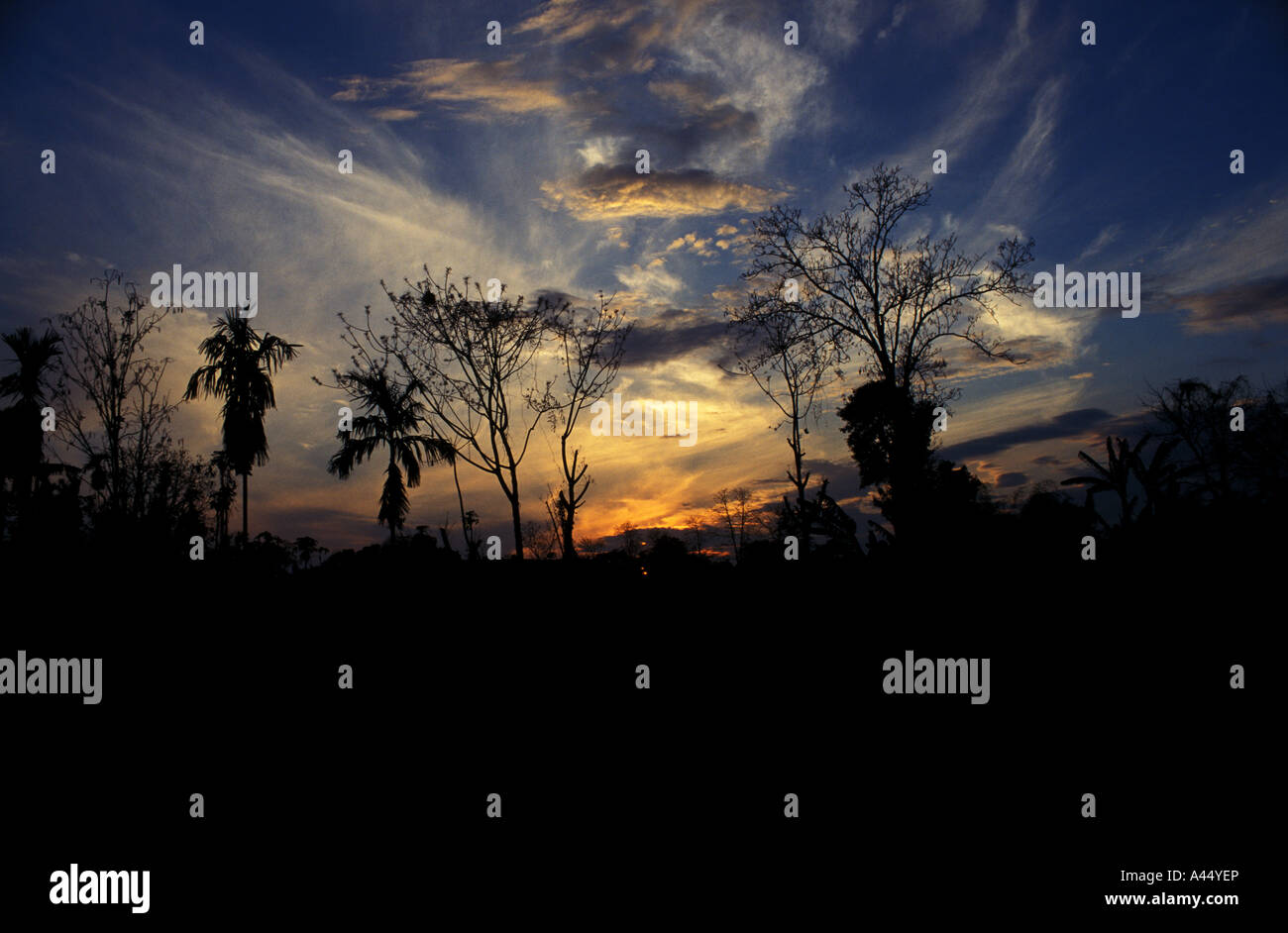 An amazing sunset in Assam - India Stock Photo - Alamy