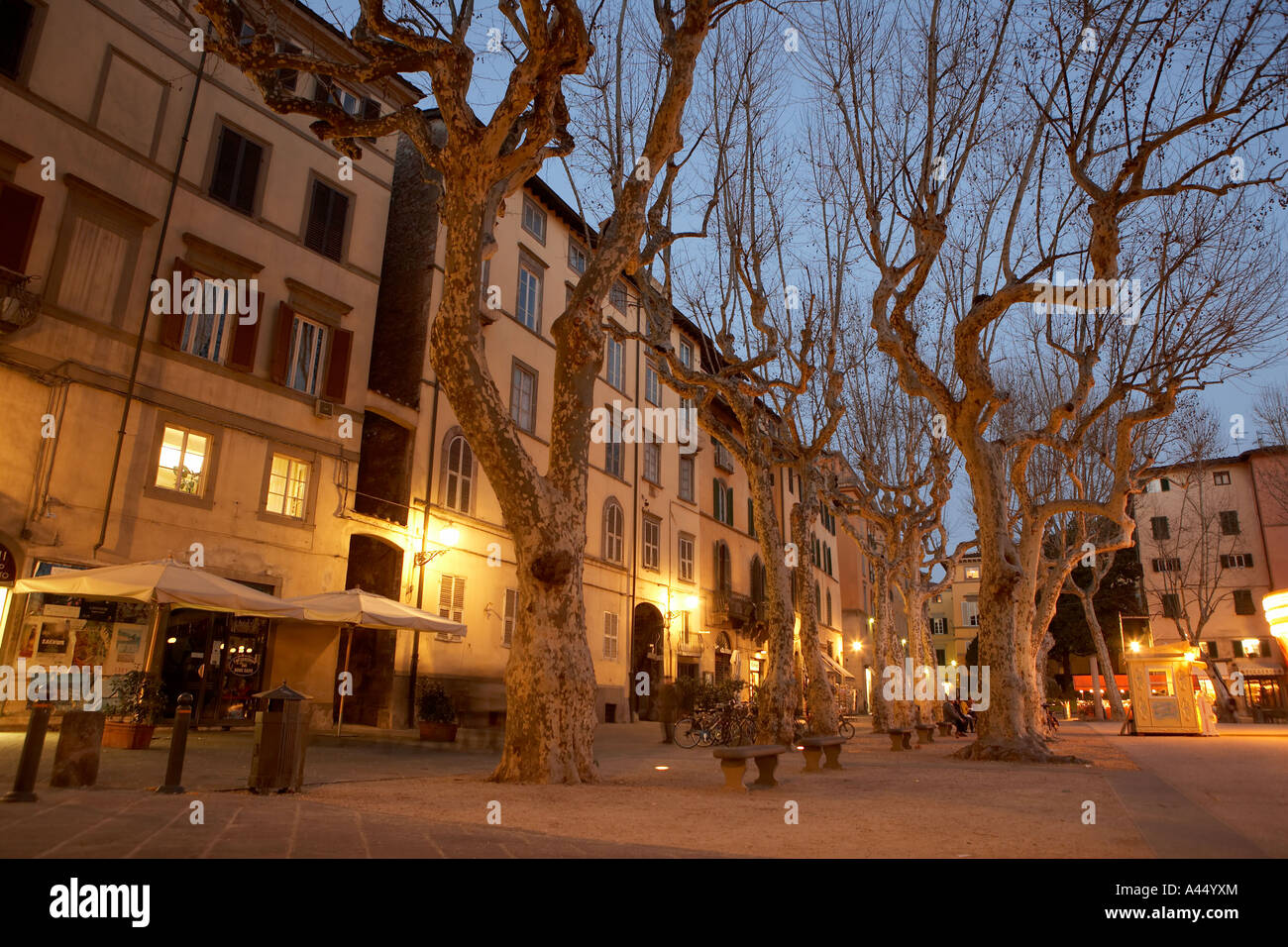 Piazza Napoleone at night Lucca Tuscany Italy Stock Photo - Alamy