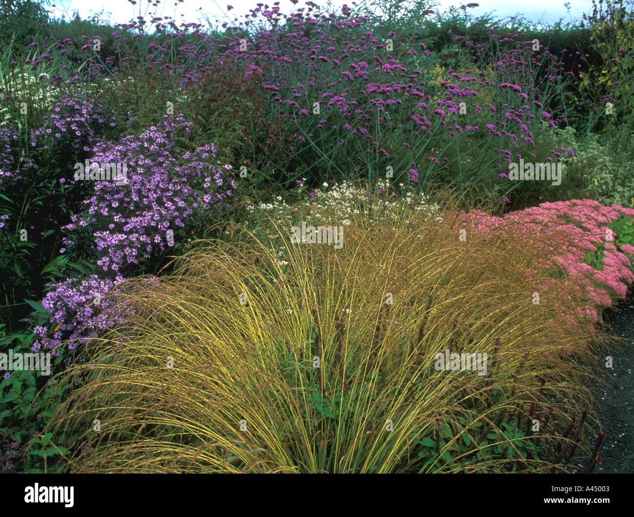 Mixture of flowers hi-res stock photography and images - Alamy