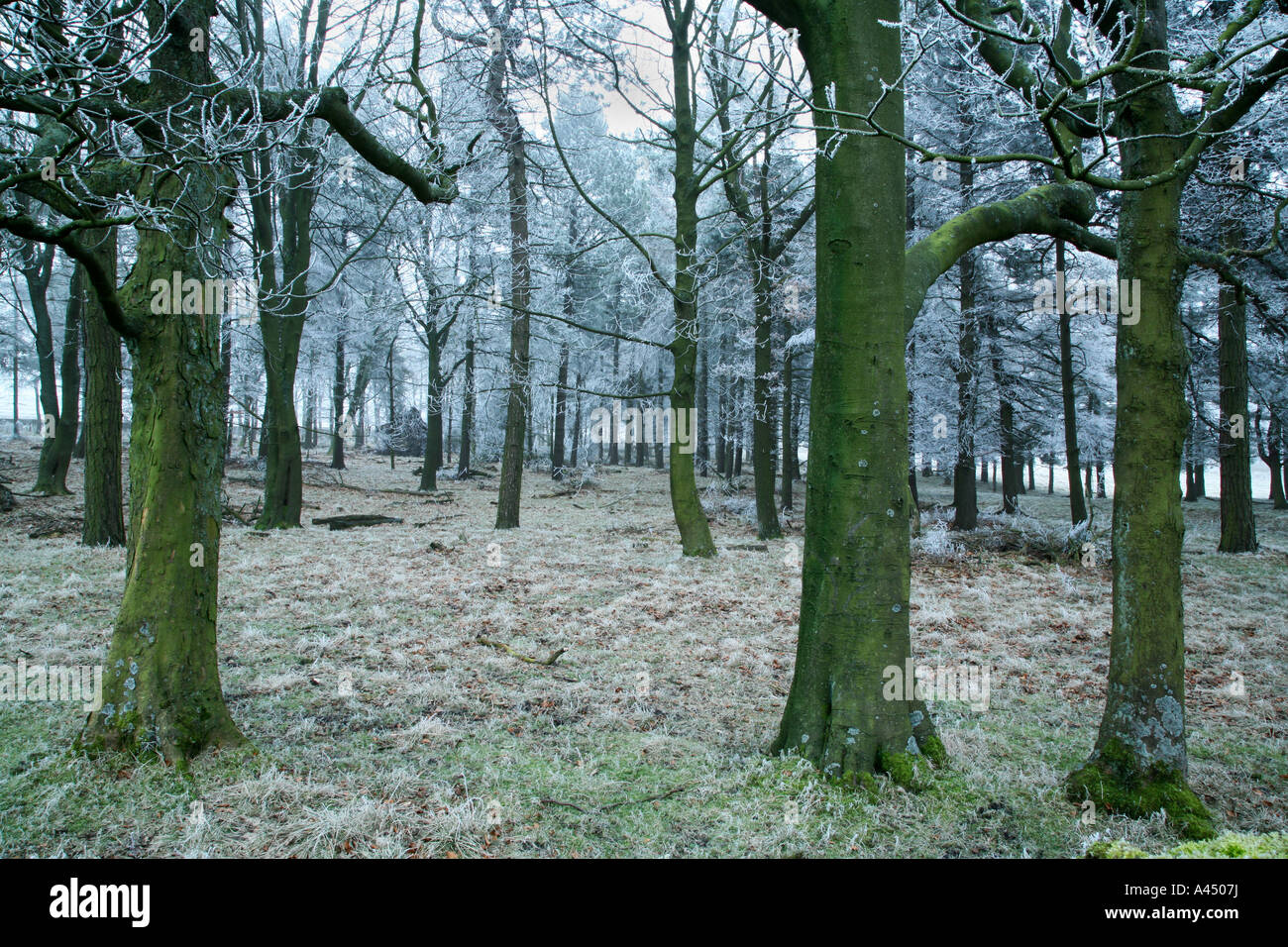 Hallam moors hi-res stock photography and images - Alamy