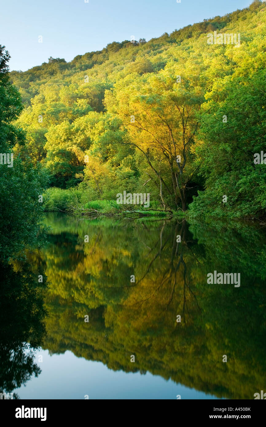 Reflection River Wye, Monsal Dale, Derbyshire, Peak District National ...