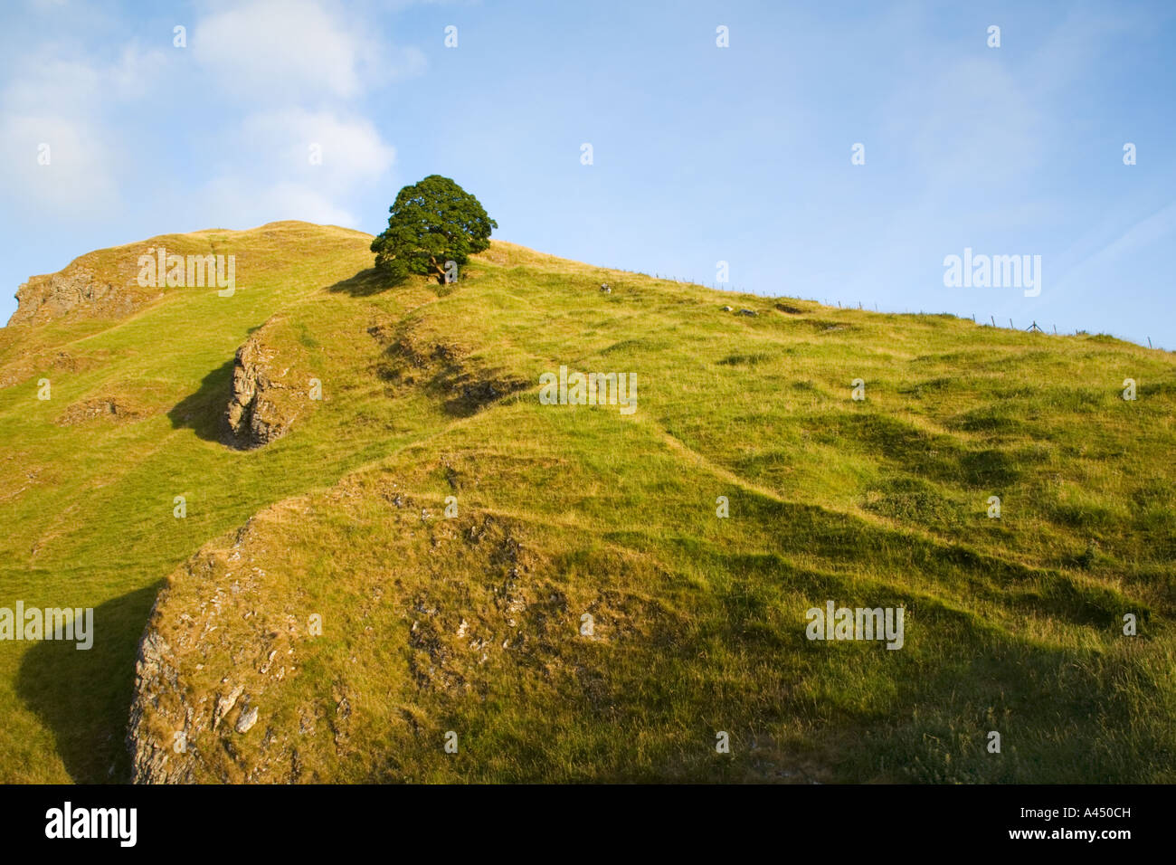 Lone tree Winnats Pass, Castleton, Derbyshire, Peak District National ...