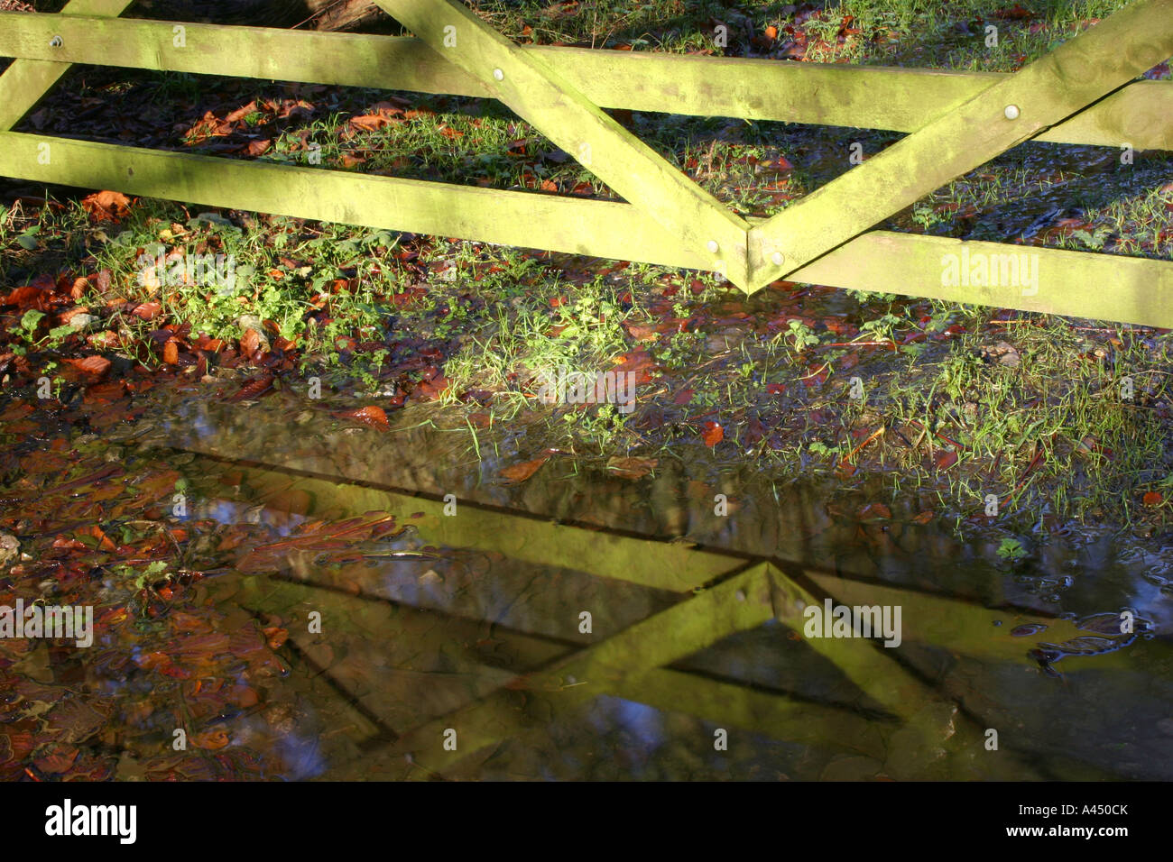 Abstract gate and reflection Stock Photo - Alamy