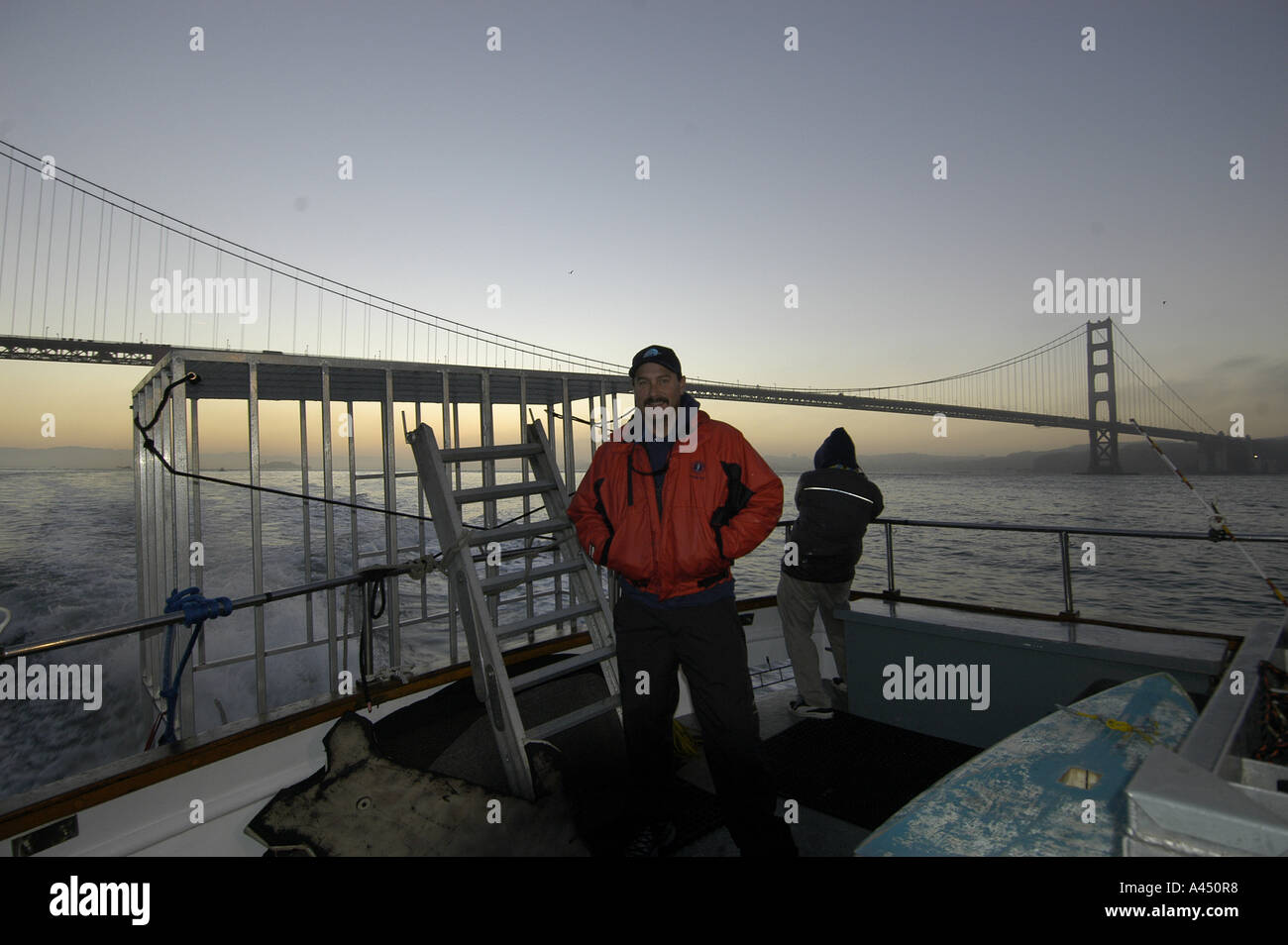 Lawrence Groth Shark Operator Leader and Owner Great white shark diving ...