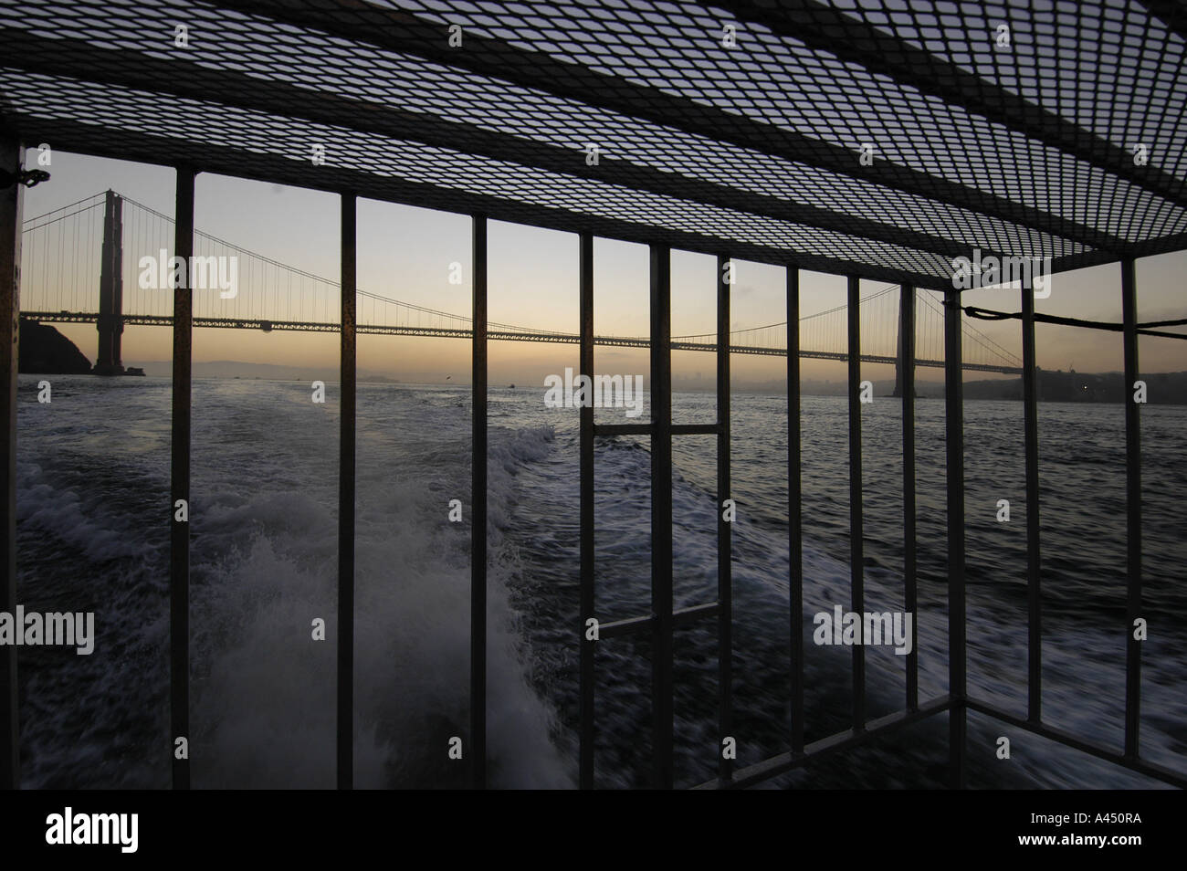 Great white shark diving cage with Golden Gate Bridge at sunrise San ...