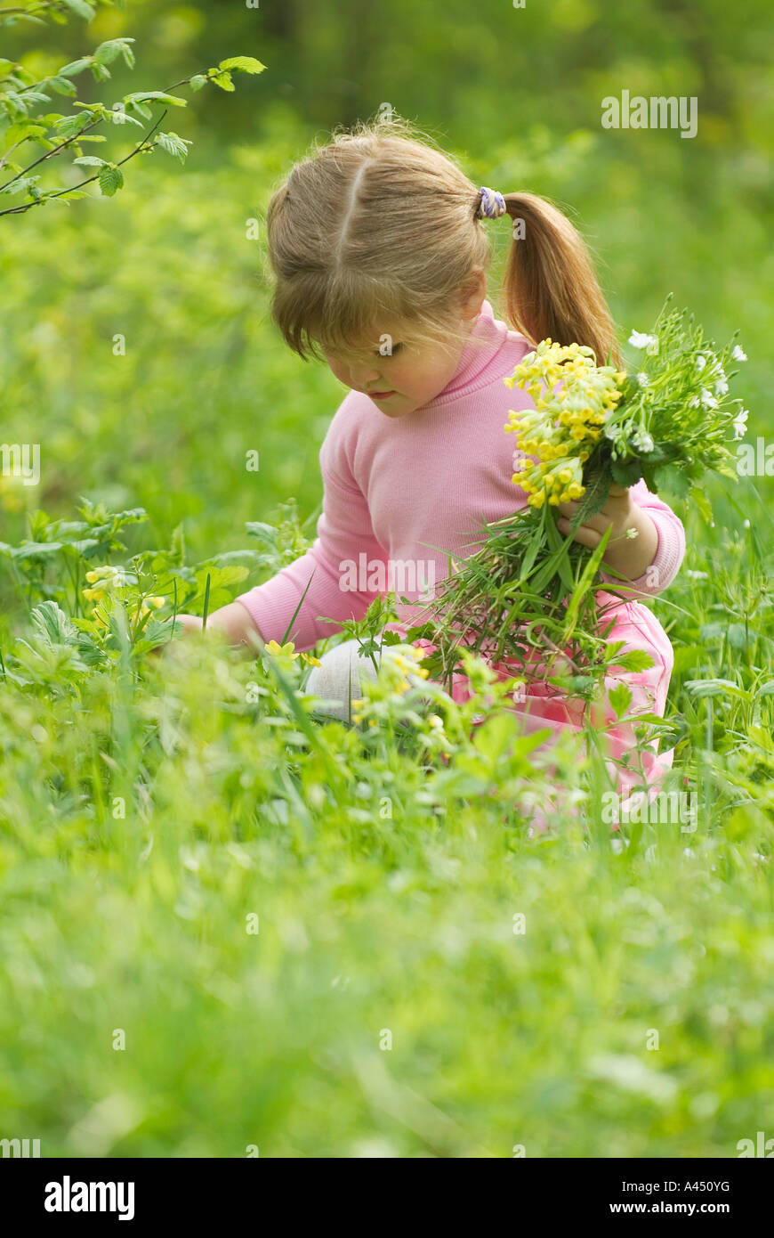 Girl picking flowers Stock Photo - Alamy