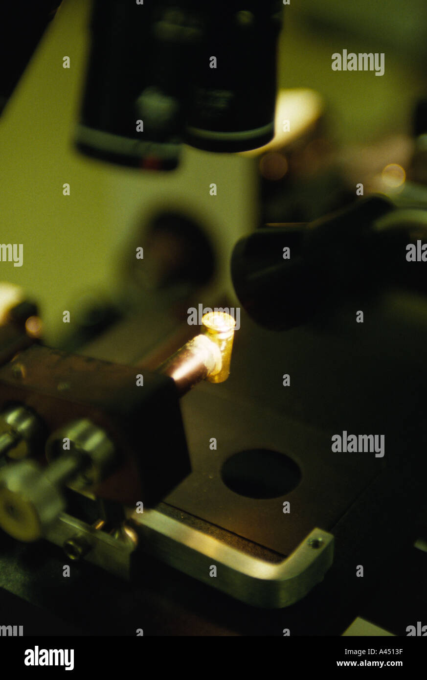 Studying ammunition casing up close. Nebraska State Crime Lab, Lincoln ...