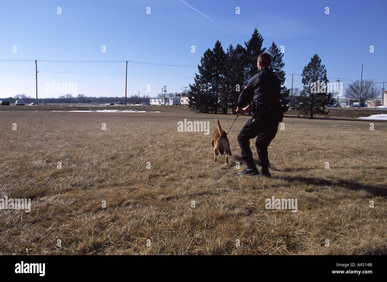 Police dog tracking dog hi-res stock photography and images - Alamy