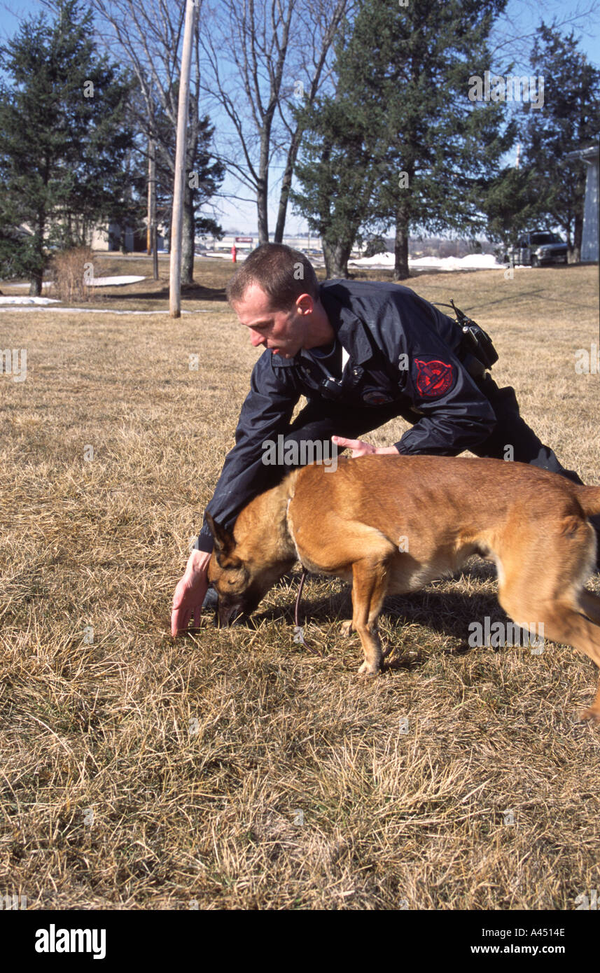 Police dog tracking dog hi-res stock photography and images - Alamy