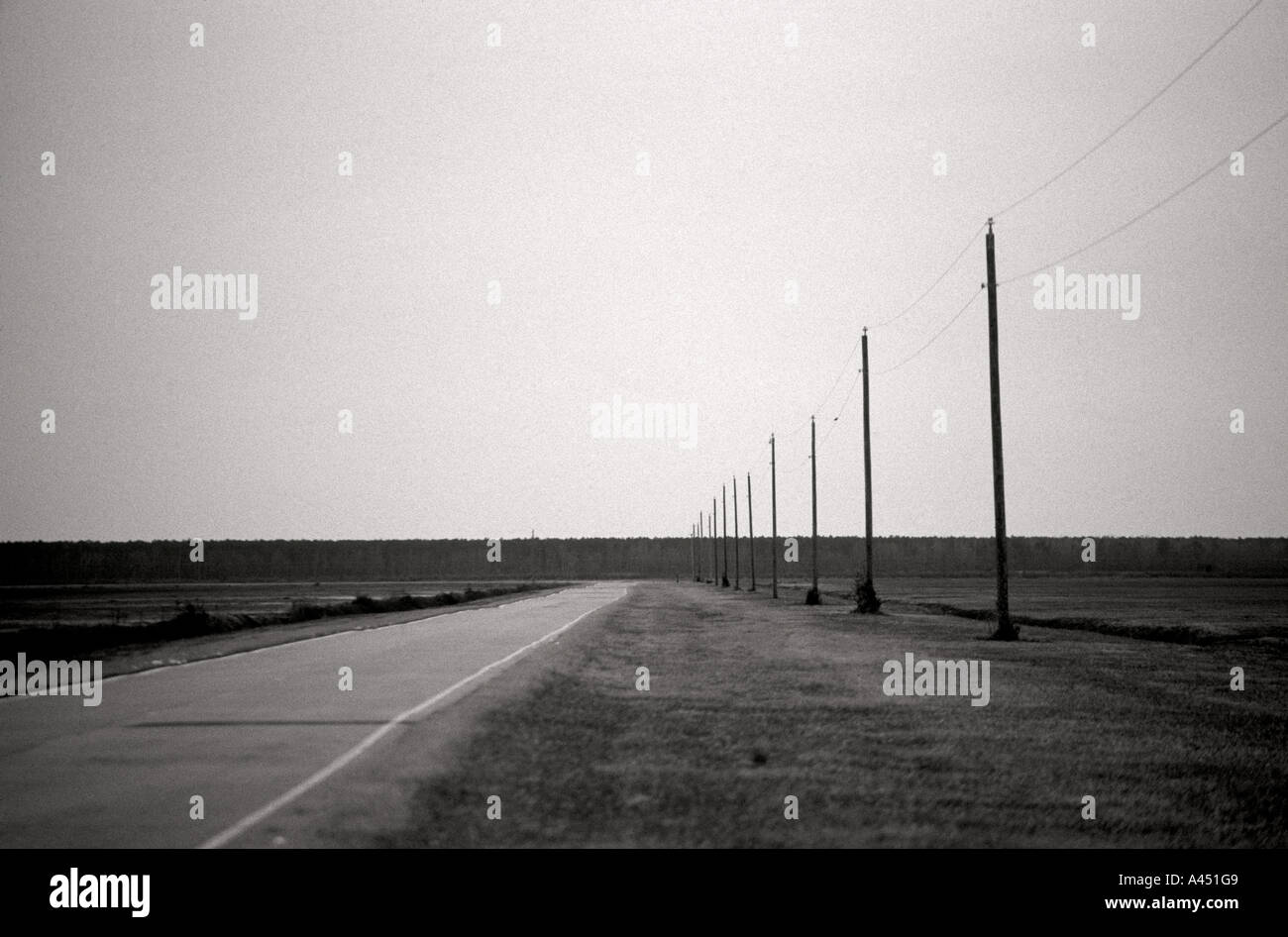 Strait road, rural farming area, NC Stock Photo - Alamy