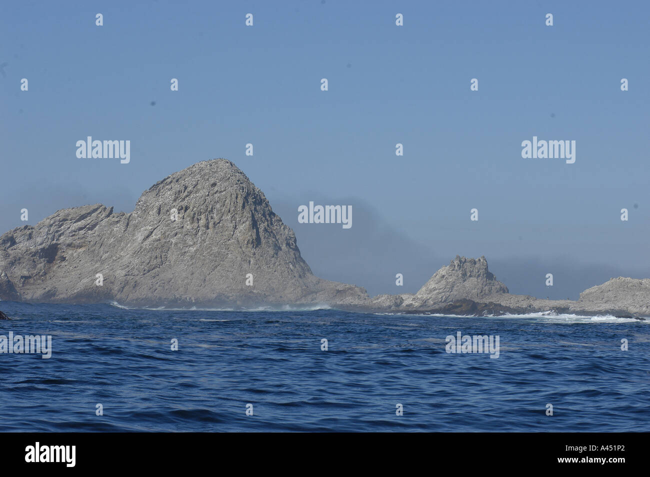 Farallon Islands Great white shark diving destination San Francisco Bay ...