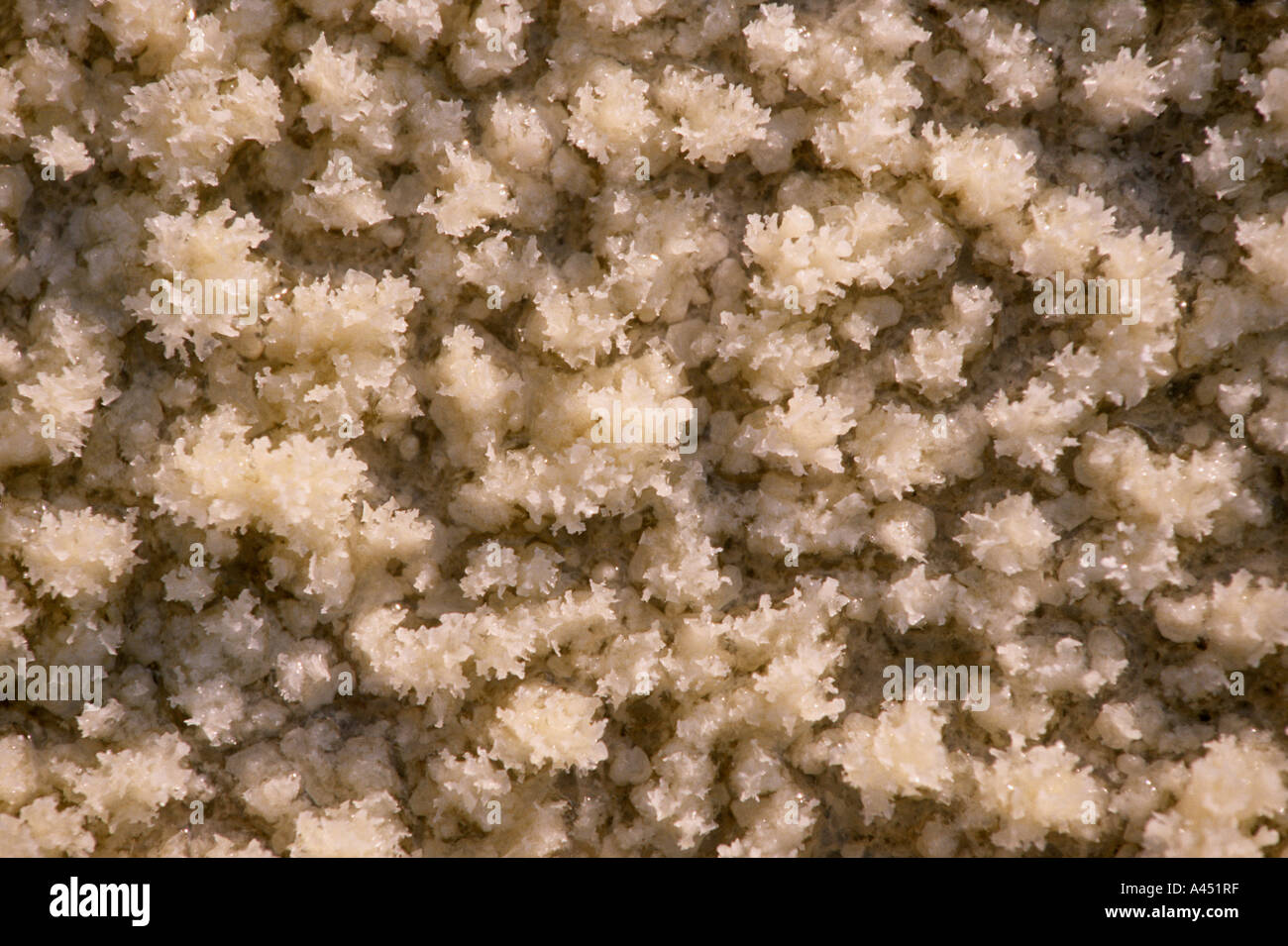 Well defined edged salt crystals, Brooklyn, NY Stock Photo - Alamy