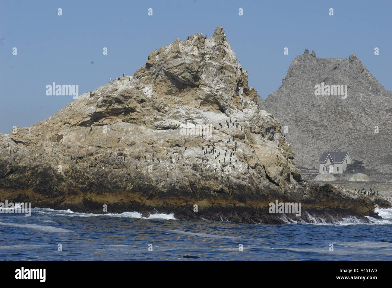 Farallon Islands Great white shark diving destination San Francisco Bay ...