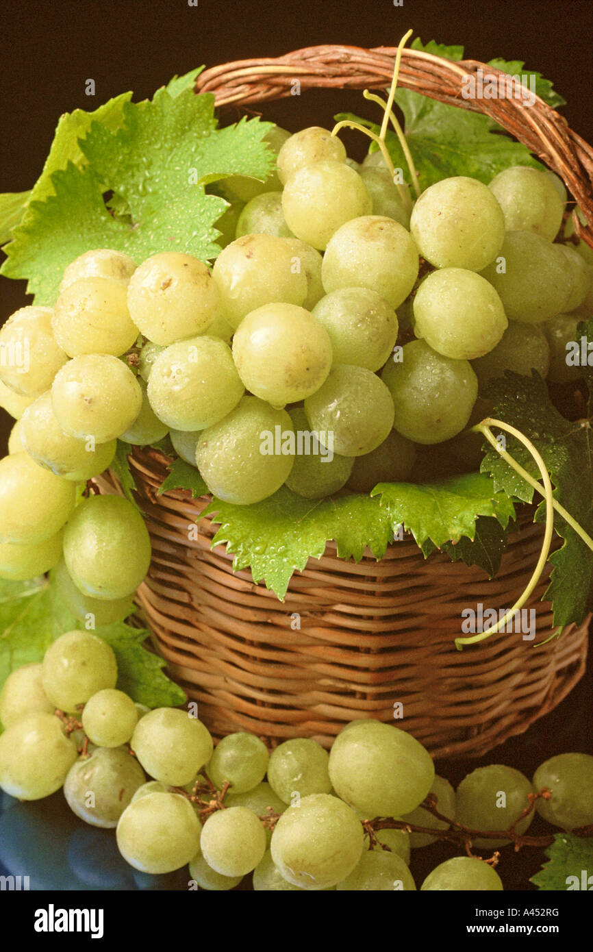 Vertical shot tasty grapes hi-res stock photography and images - Alamy